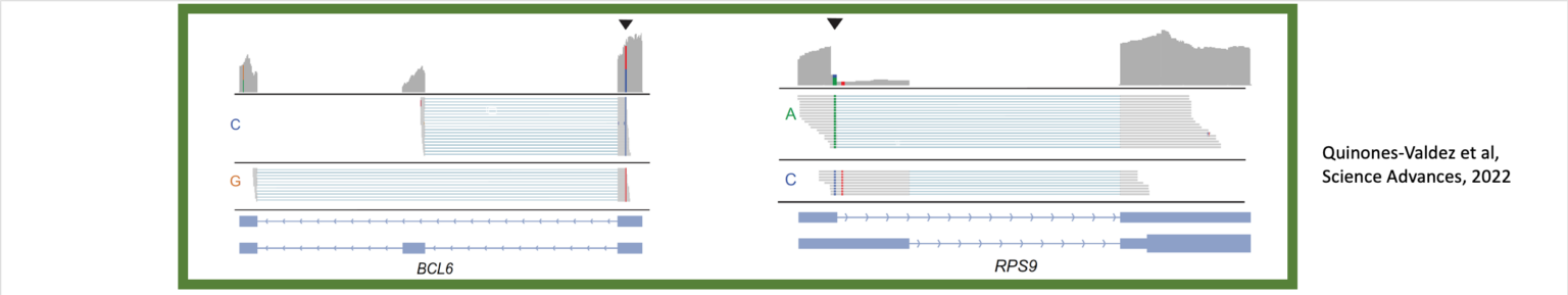 Grace Xiao Lab – UCLA