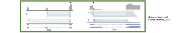 Grace Xiao Lab – UCLA