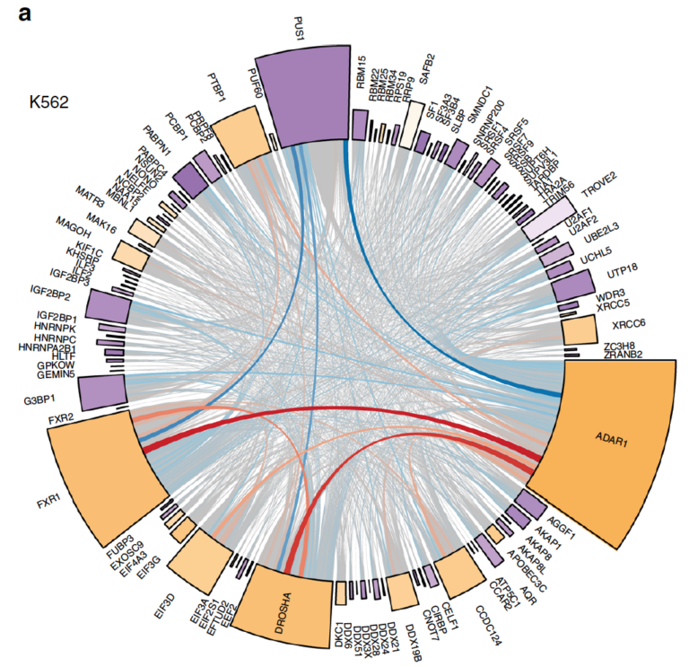Research – Grace Xiao Lab