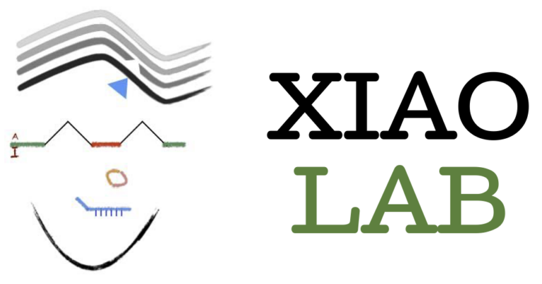 Grace Xiao Lab – UCLA